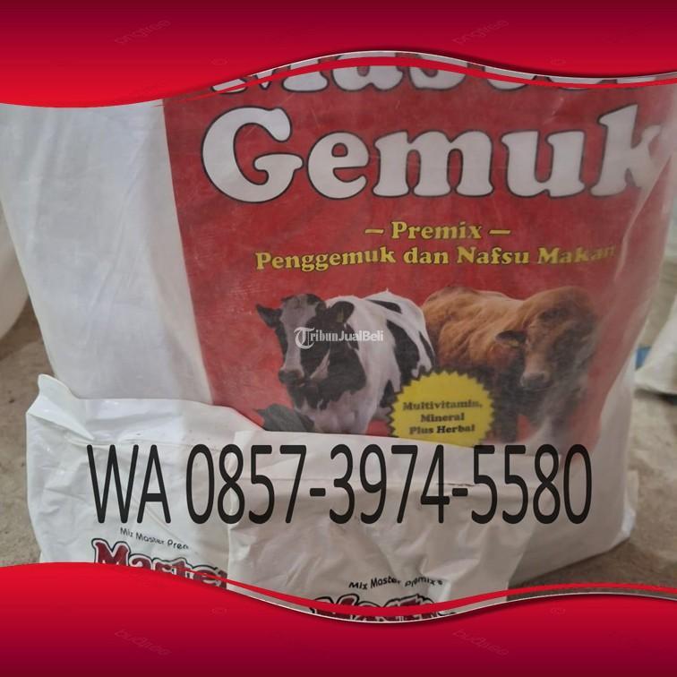 Mineral Premix Untuk Sapi Patrol di Kediri - Tribun JualBeli