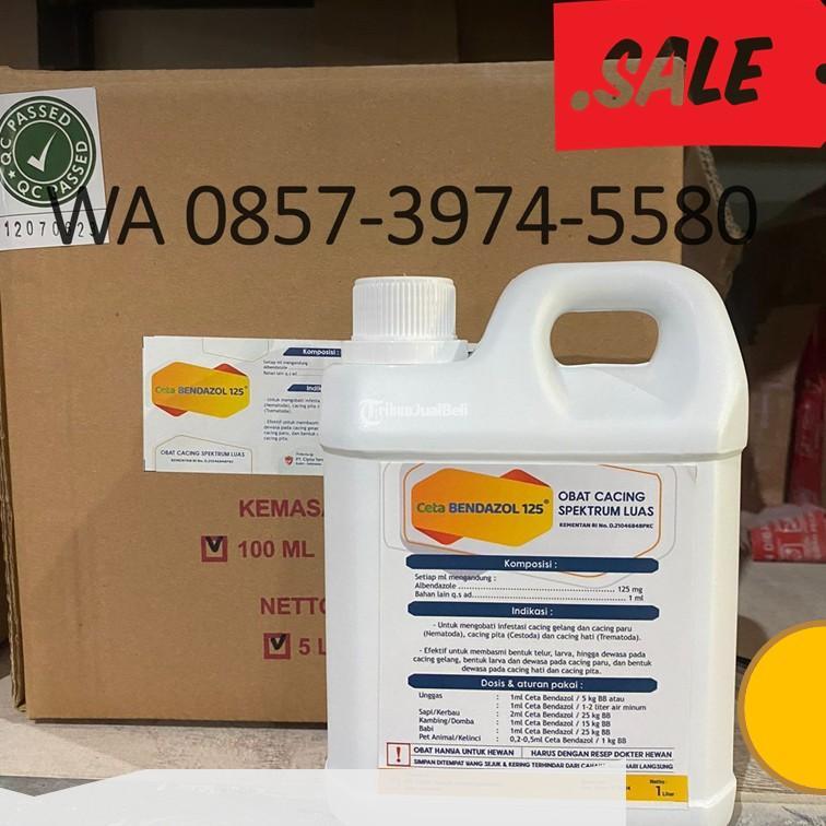 Obat Cacing Sapi Bolus Piyungan di Kediri - Tribun JualBeli