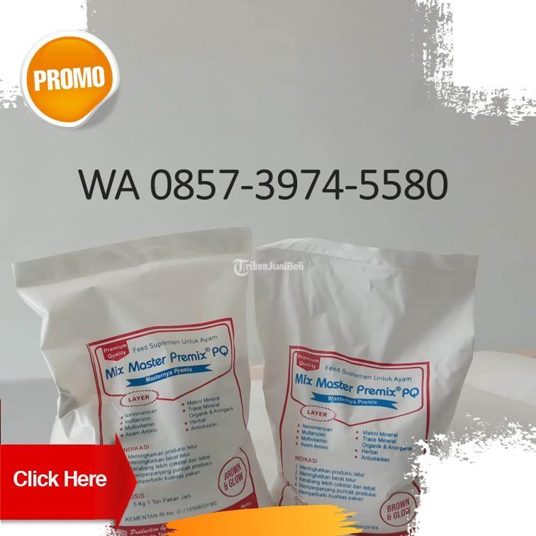 Premix Pakan Ayam Petelur di Kediri - Tribun JualBeli