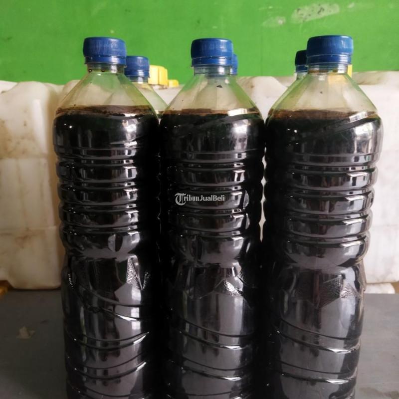 Tetes Tebu Asli di Depok - Tribun JualBeli