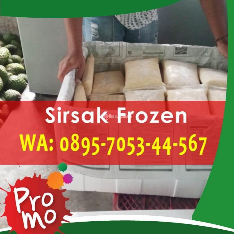 Supplier Sirsat Beku Asli di Indramayu - Tribun JualBeli