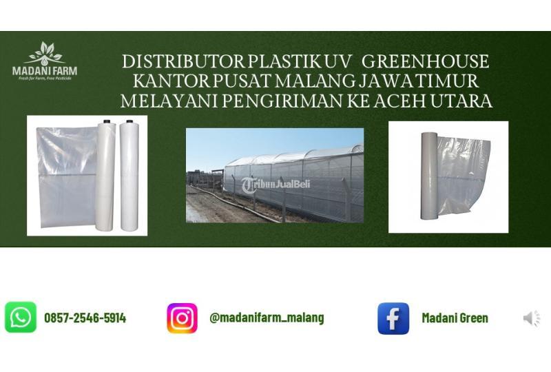 Distributor Plastik UV Greenhouse di Malang - Tribun JualBeli