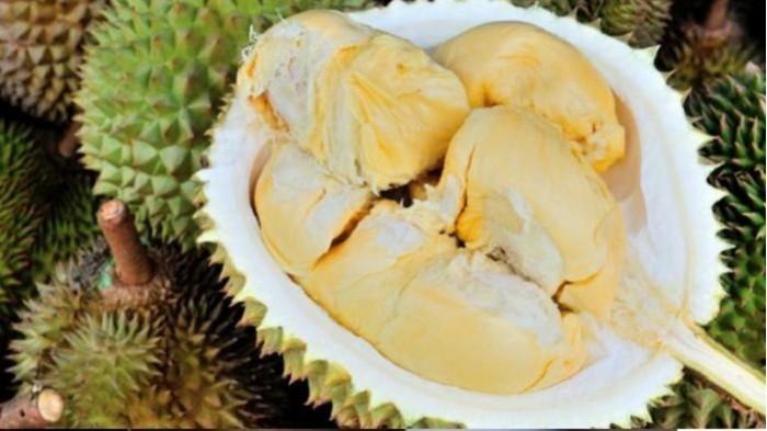 Ternyata Ini yang Jadi Penyebab Buah Durian Memiliki Bau yang Menyengat - Blog TribunJualBeli.com