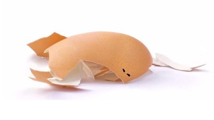 Kulit Telur Dapat Mengobati Kerusakan Tulang? Simak Penjelasannya ...
