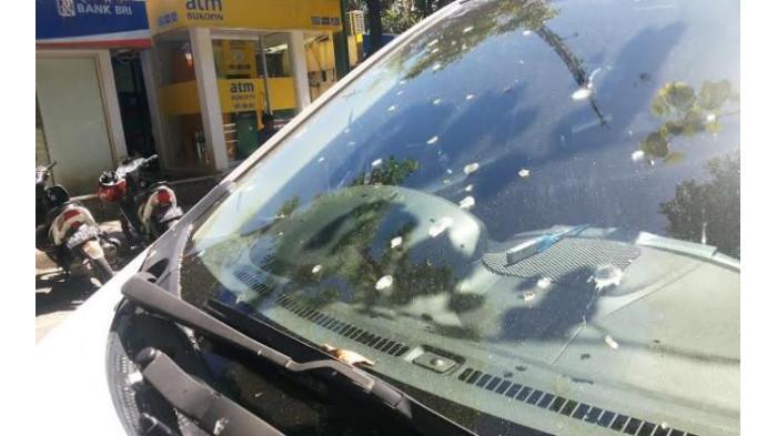 Cara Menghilangkan Noda Getah dan Kotoran Burung di Mobil, Jangan ...